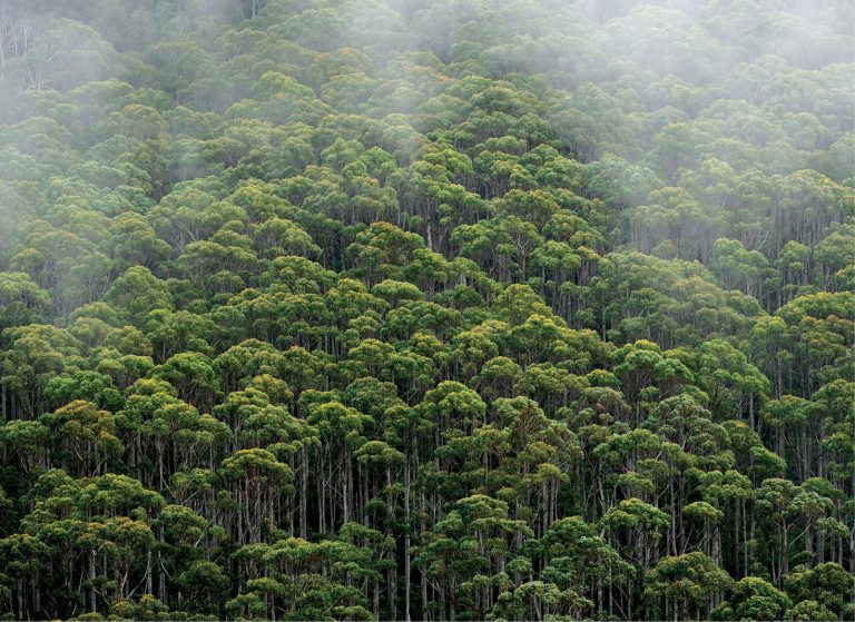 AASB S2 Readiness Checklist - Synectic